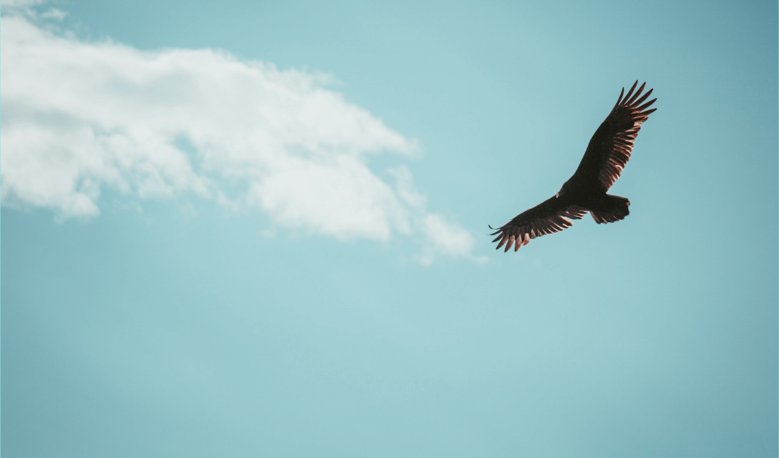 Home - Fuse Strategy